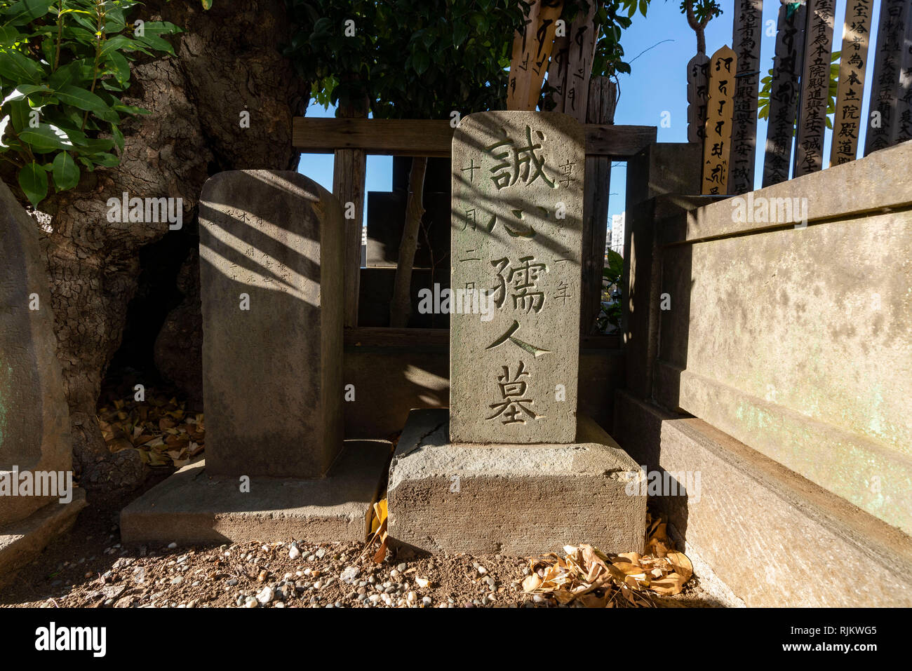 Tomb of Konyo Aoki (1698 - 1769 ), Ryusenji temple known as Meguro Fudo ...