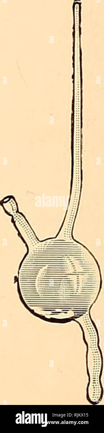 . Bacteriological apparatus : pathological, biochemical. Scientific ...