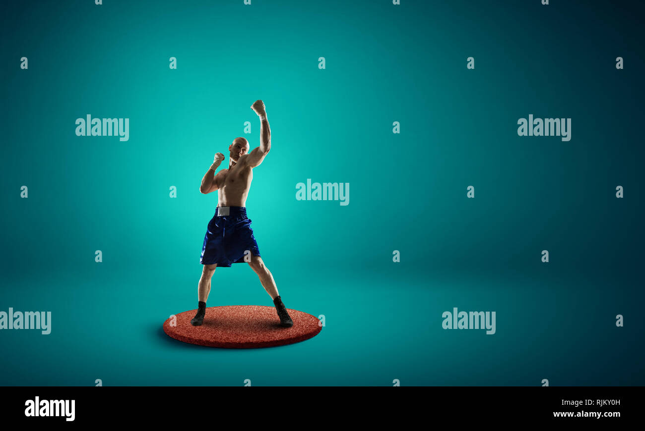 Boxer winner hi-res stock photography and images - Alamy