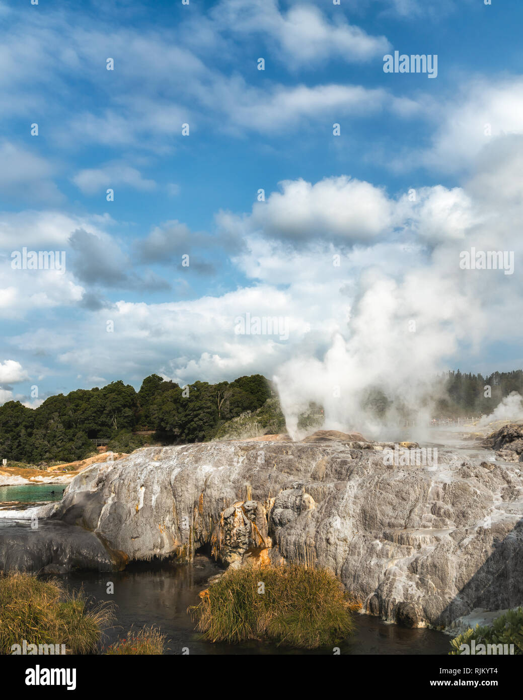 Land seismic hi-res stock photography and images - Alamy