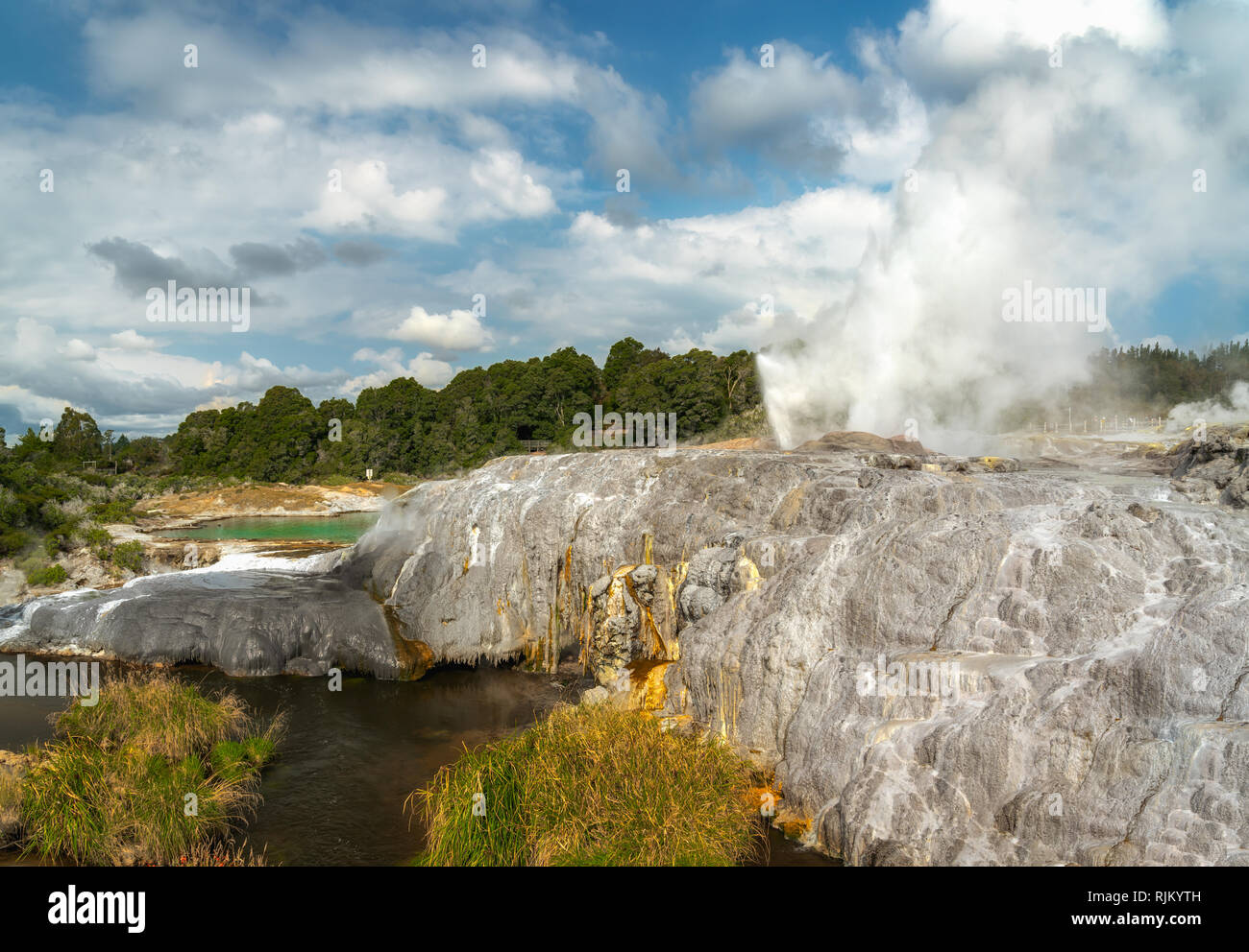 Maori village geyser hi-res stock photography and images - Alamy