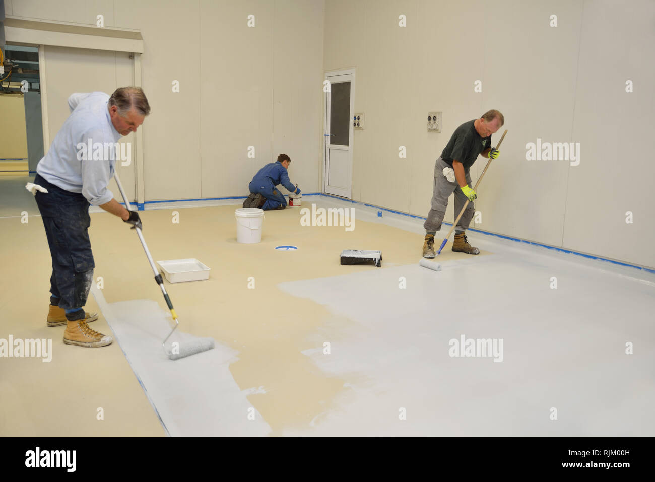 tradesmen rolling final coat of epoxy product on the floor of an ...