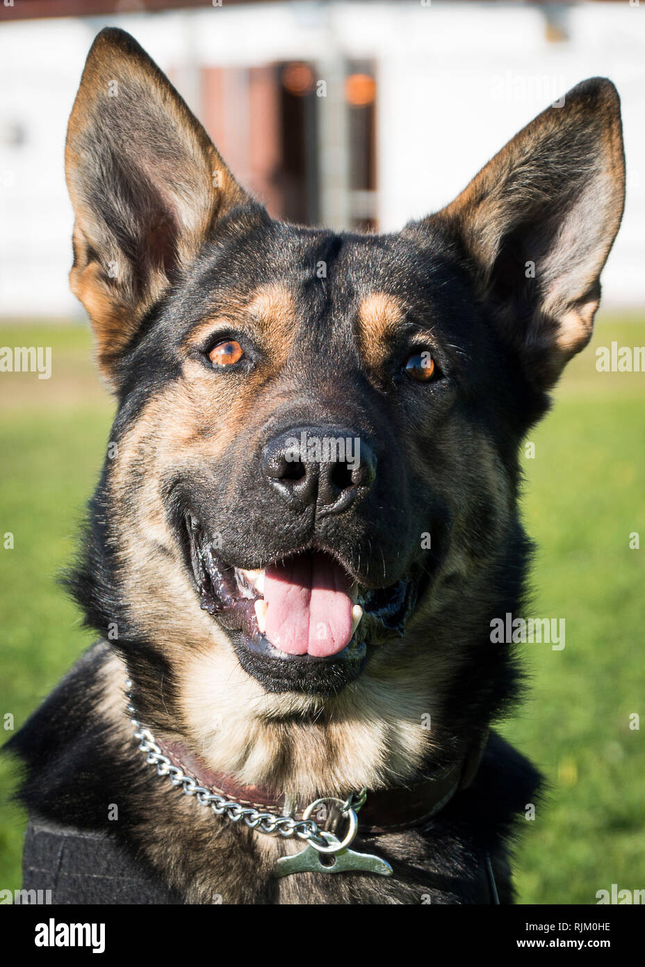 190111-N-TR141-0051 NAVAL STATION ROTA, Spain (January 11, 2019) Astor ...