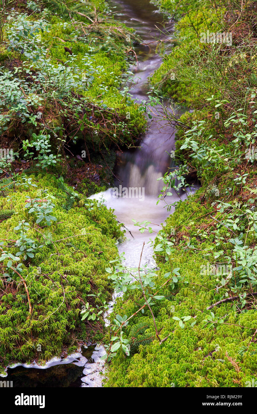 Cascades waterfall little stony creek hi-res stock photography and ...