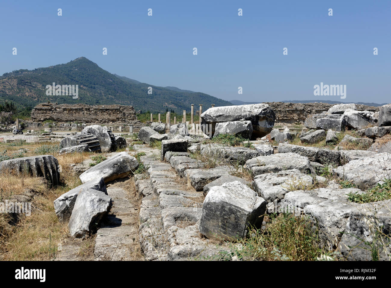 Ruins of the Hellenistic Temple of Artemis Leucopryne built in the ...