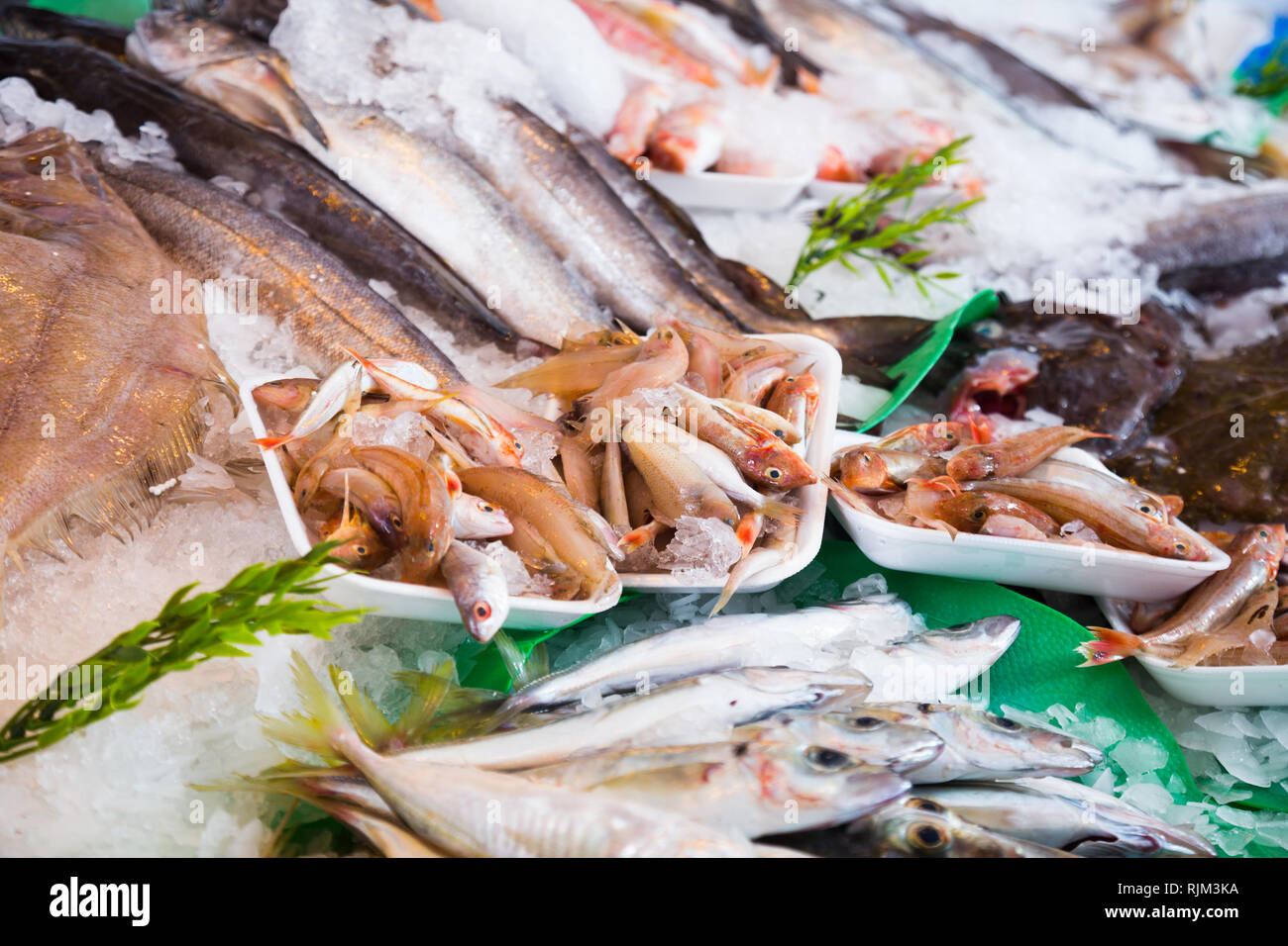 fish on counter of seafood market in spain Stock Photo - Alamy