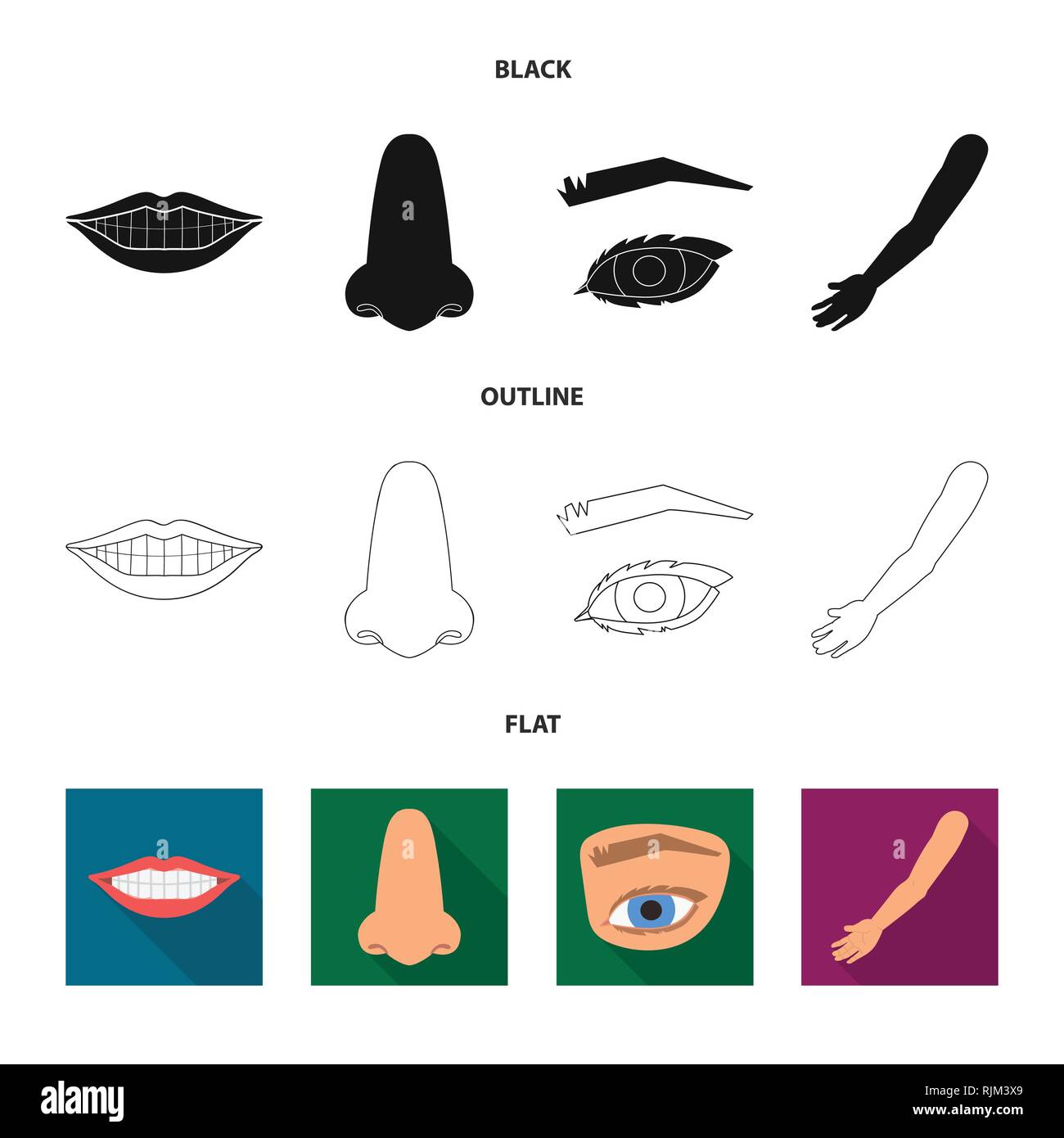 Isolated object of body and part symbol. Set of body and anatomy vector ...