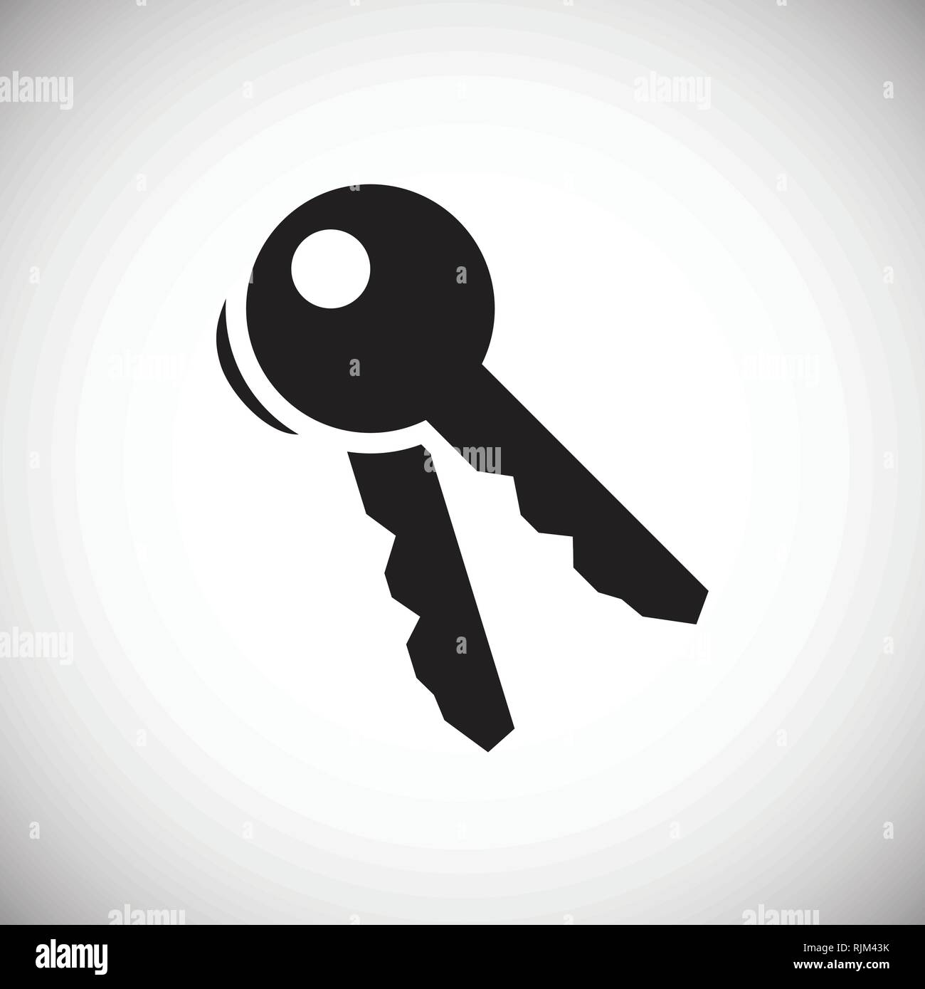 Property key on white background for app or web using Stock Vector ...