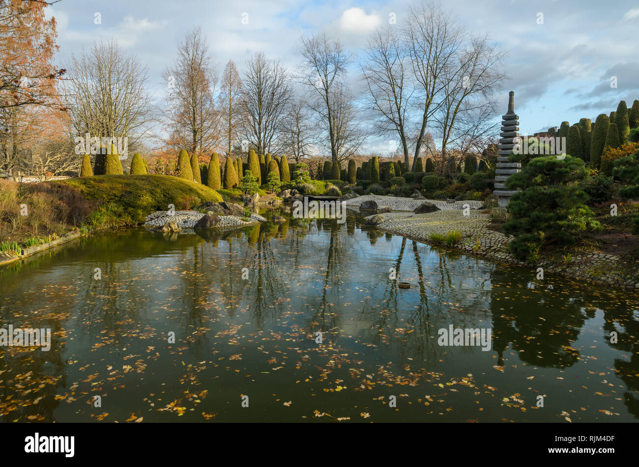 View of the Japanese garden at the Bonner Rheinaue, Bonn, Germany Stock ...