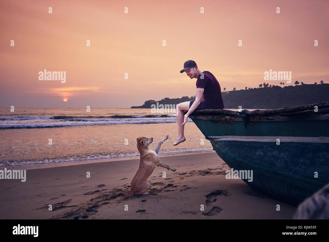 Human hand and paw hi-res stock photography and images - Alamy