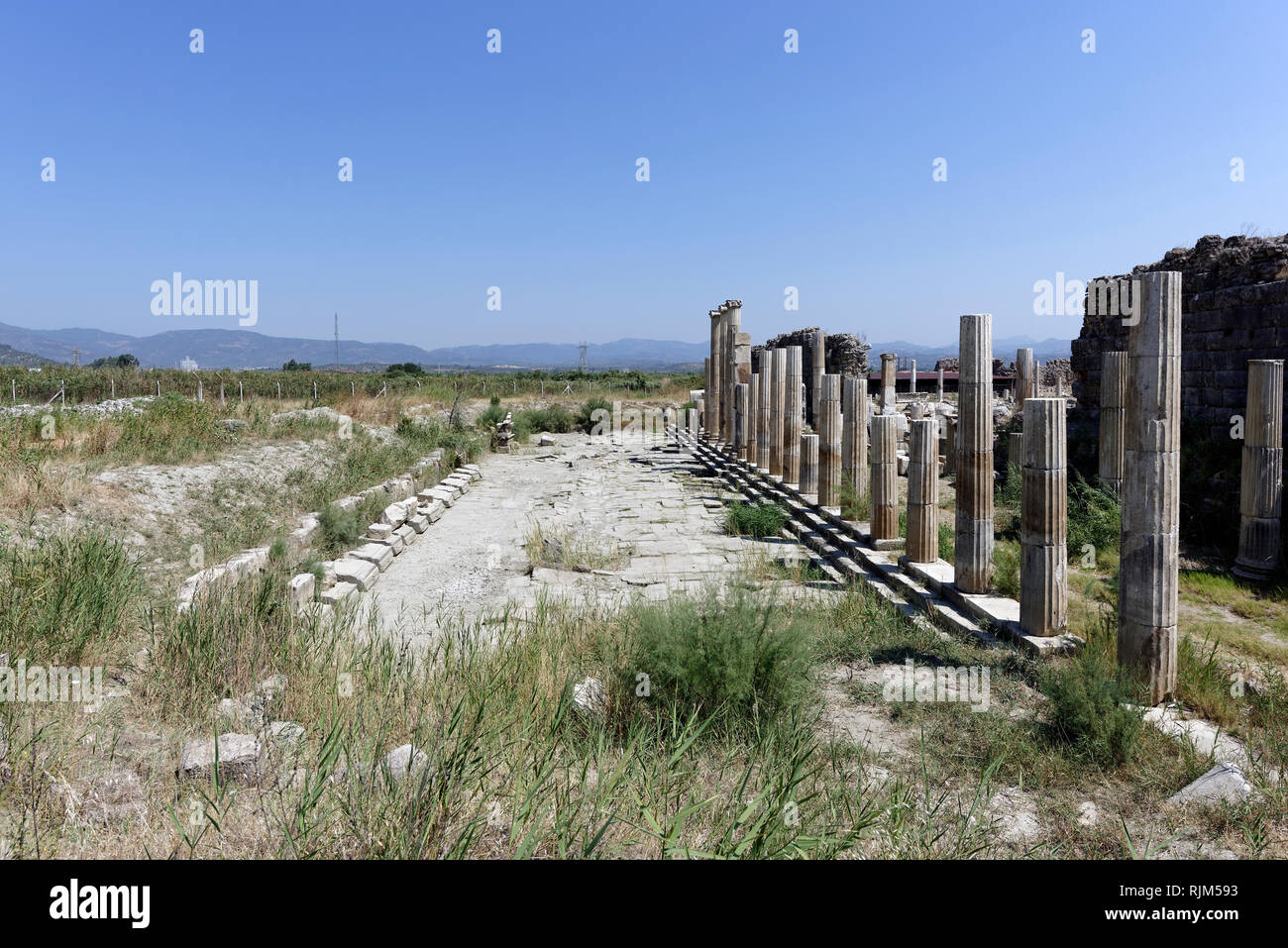The elegant Ionic stoa of the large Agora (188 x 99 metres). Magnesia ...