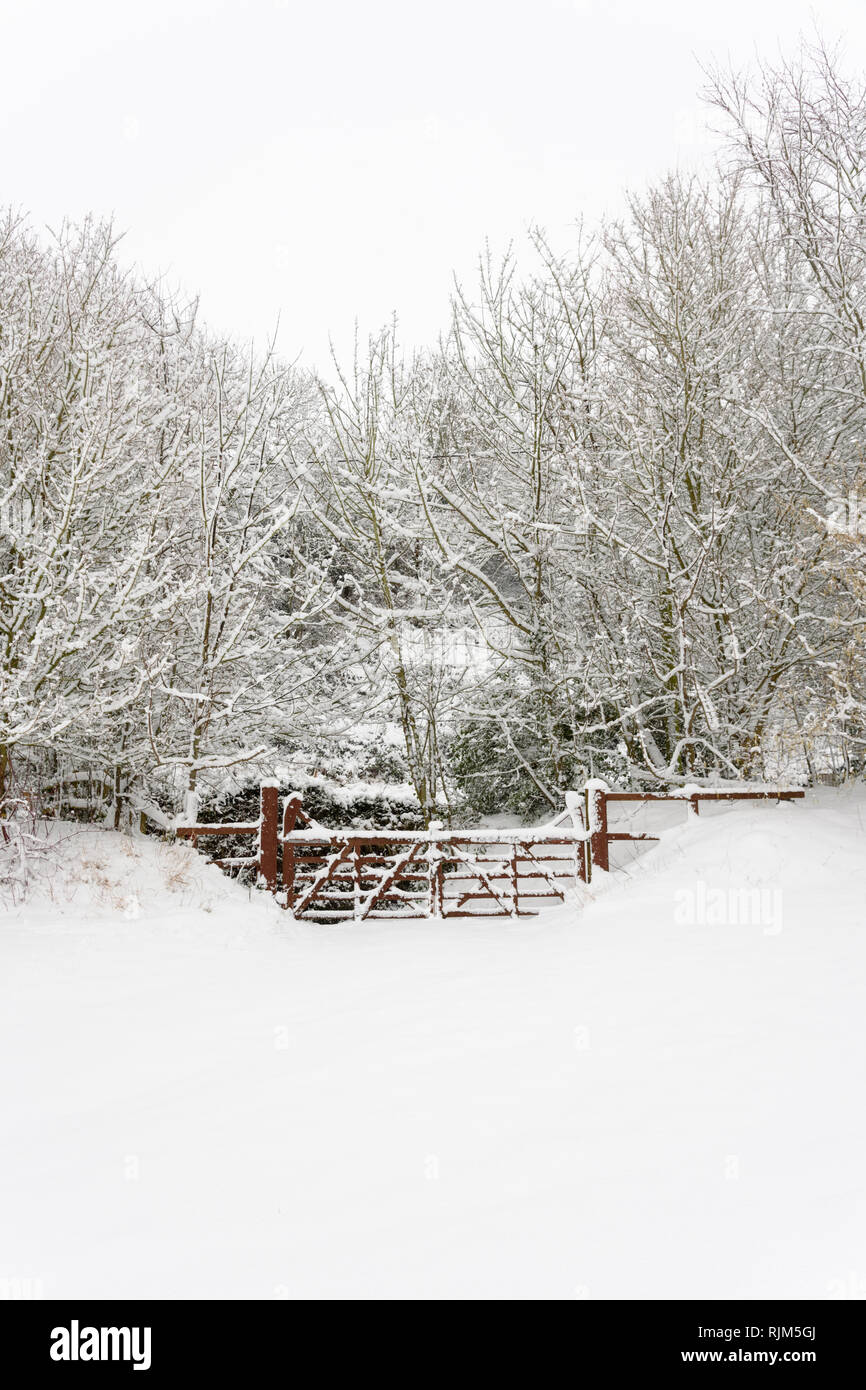 Covered gate hi-res stock photography and images - Alamy