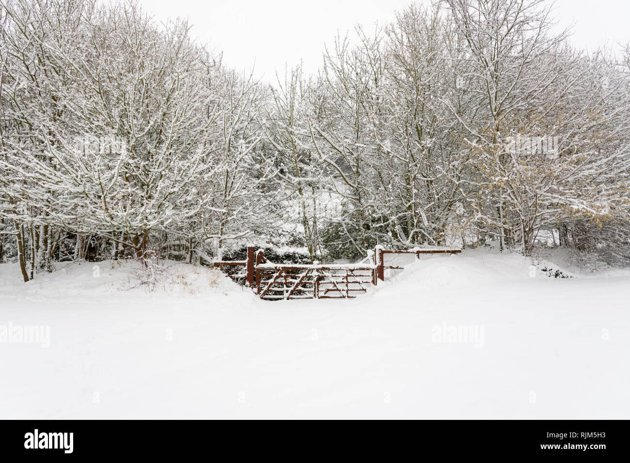 Covered gate hi-res stock photography and images - Alamy