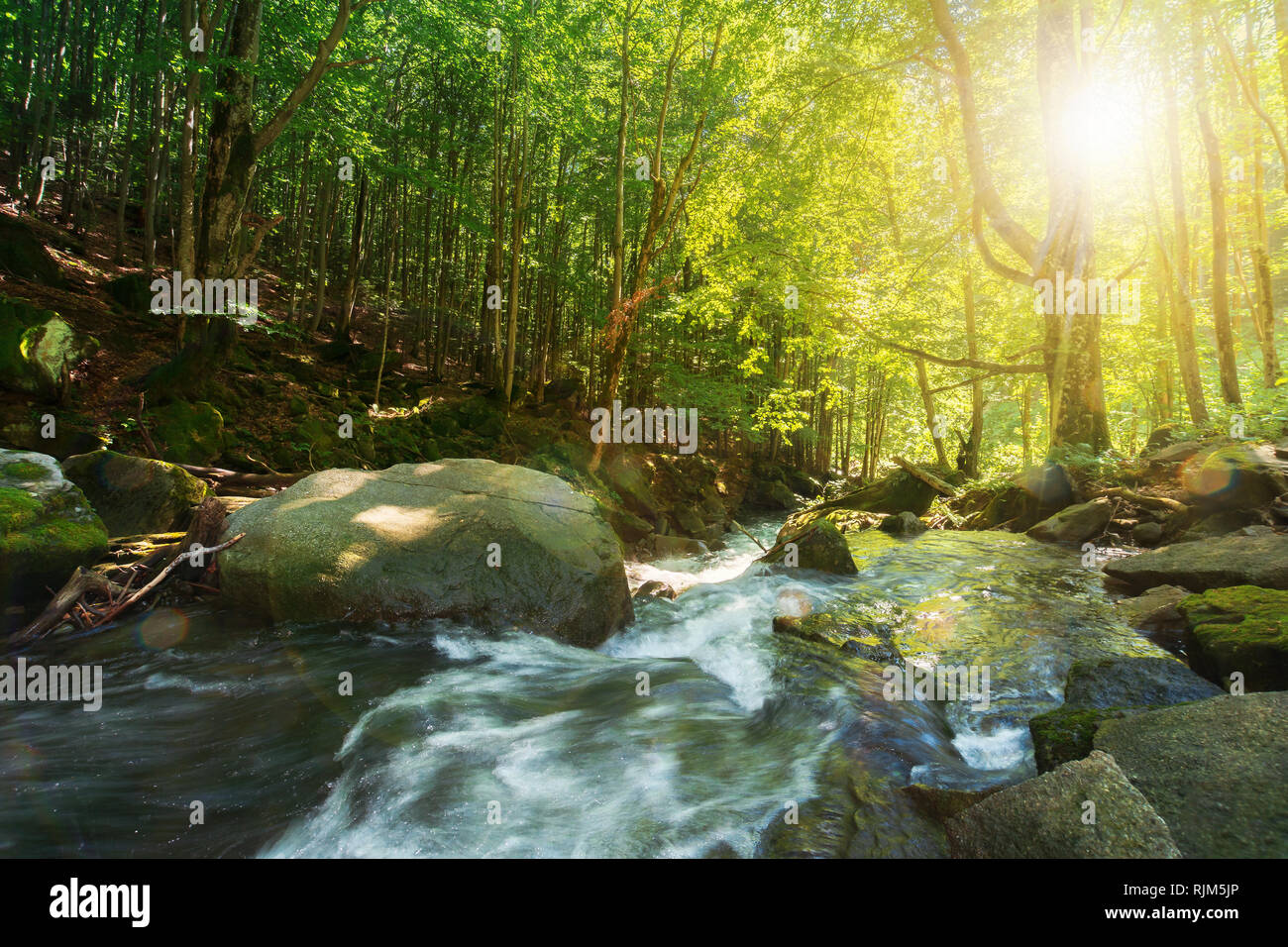 forest stream among the rocks. beautiful summer scenery on a sunny day ...