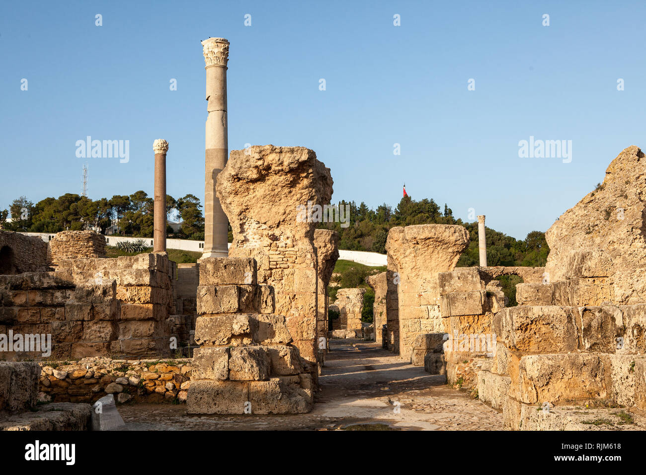 Karthago, Unesco world heritage site with the roman ruins and two high ...