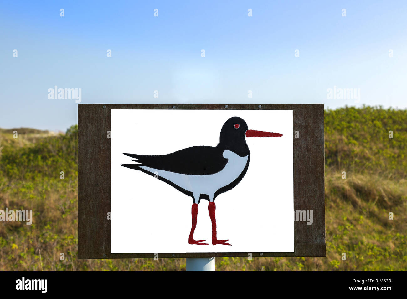Bird on a sign with Background of Meadows and sky Stock Photo - Alamy