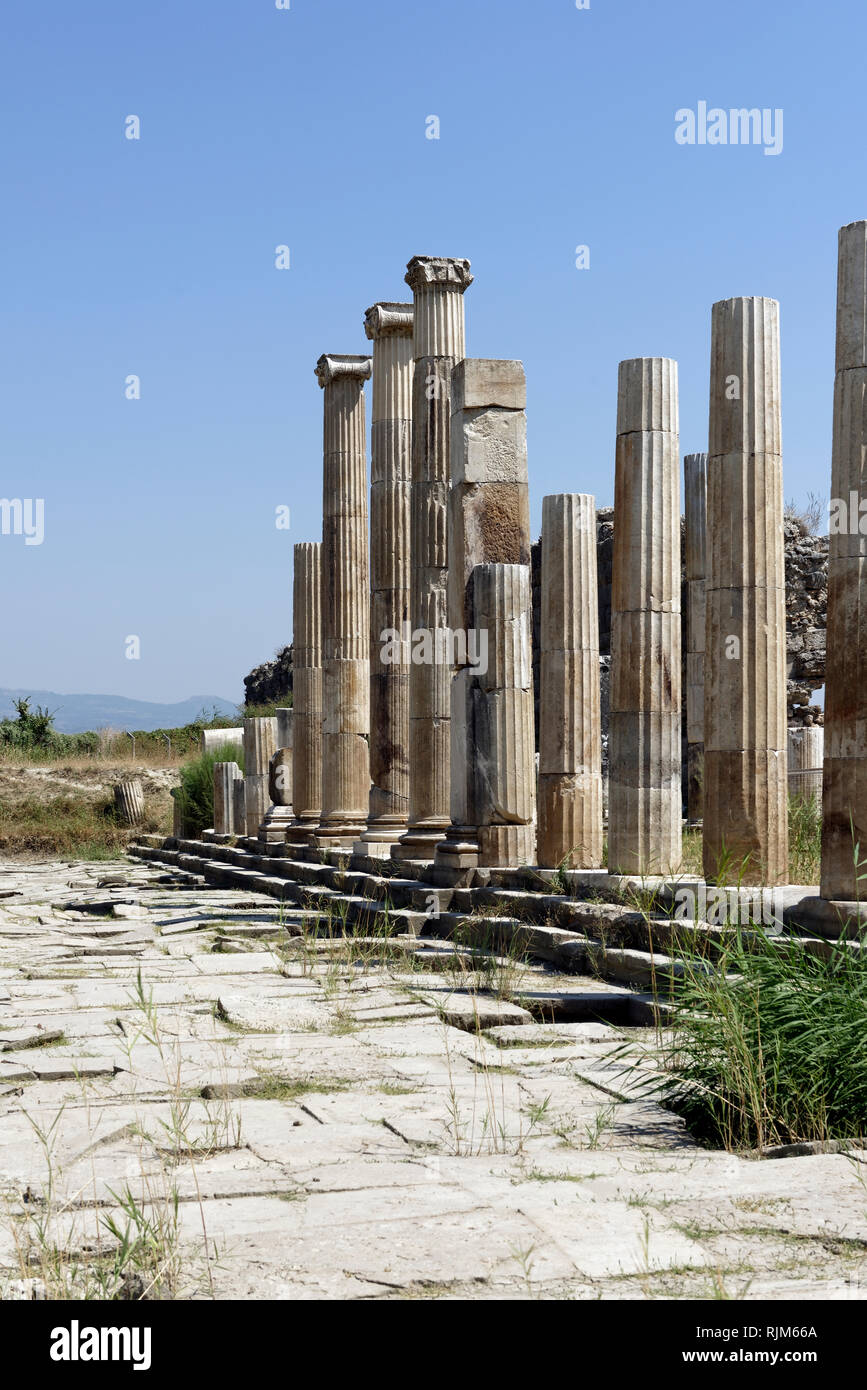 The elegant Ionic stoa of the large Agora (188 x 99 metres). Magnesia ...