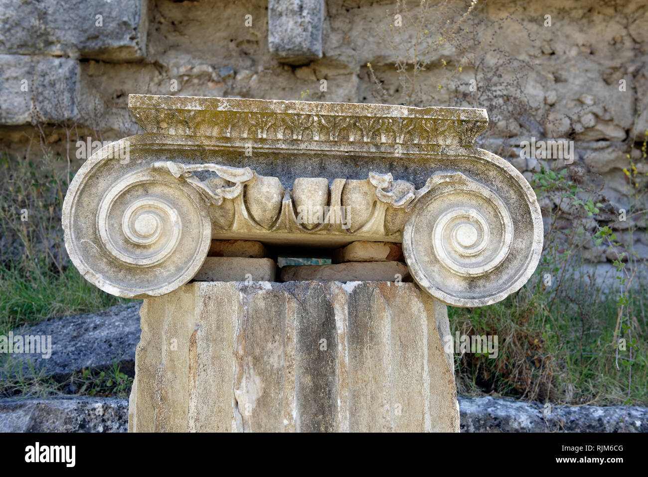 Elegant Ionic capital and column of the Agora (188 x 99 metres ...