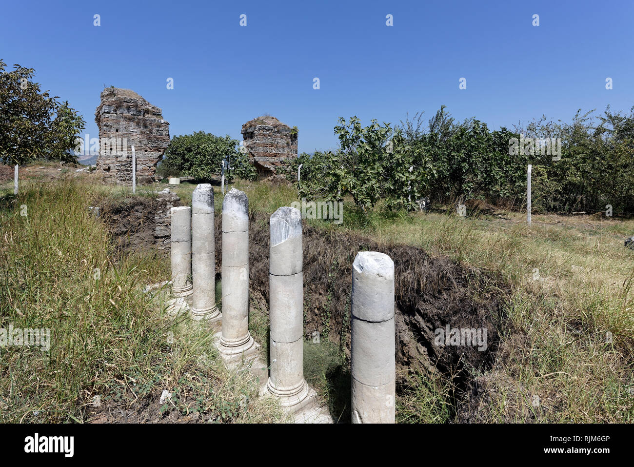 Maeandrum hi-res stock photography and images - Alamy