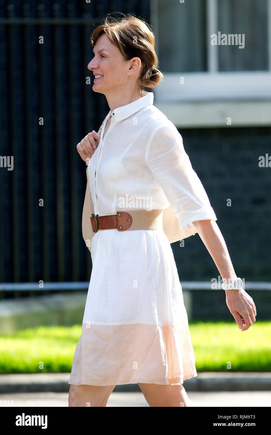 TV presenter Fiona Bruce at Downing Street in London. 07 May 2013 Stock ...