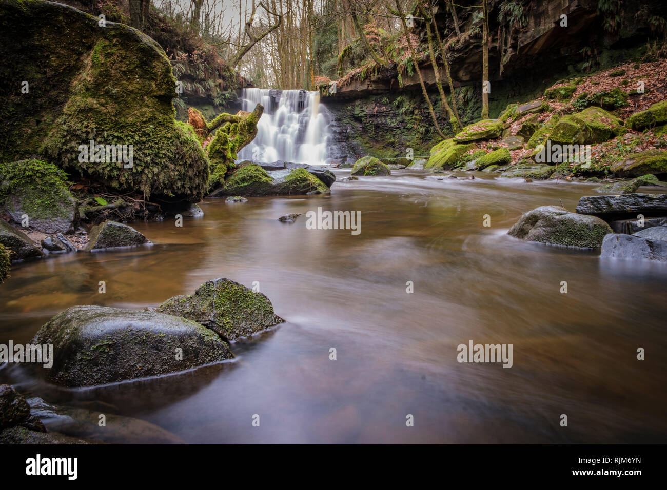 Goit Stock Falls, Harden, Bradford, West Yorkshire, UK Stock Photo - Alamy