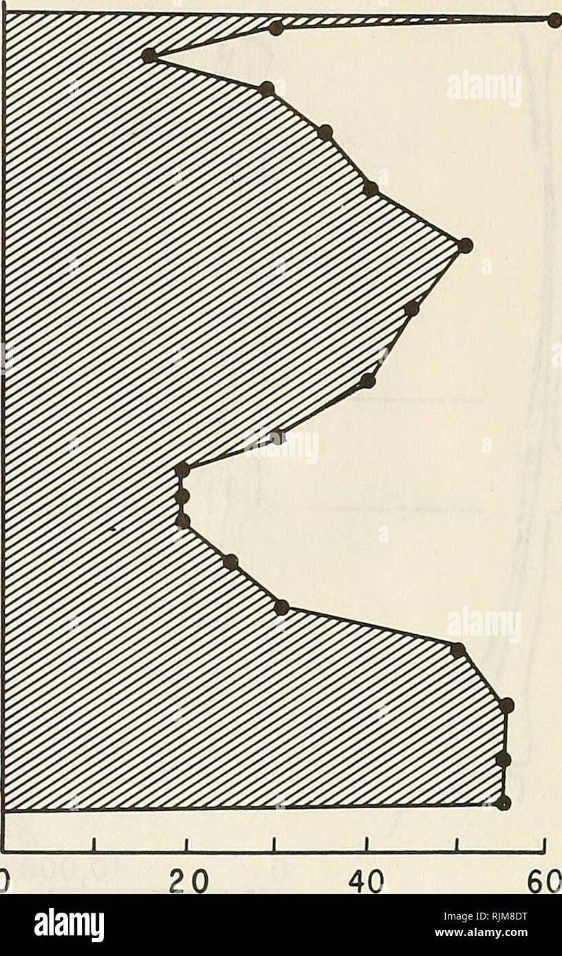 . Beach and inlet changes at Ludlam Beach, New Jersey. Beach erosion ...