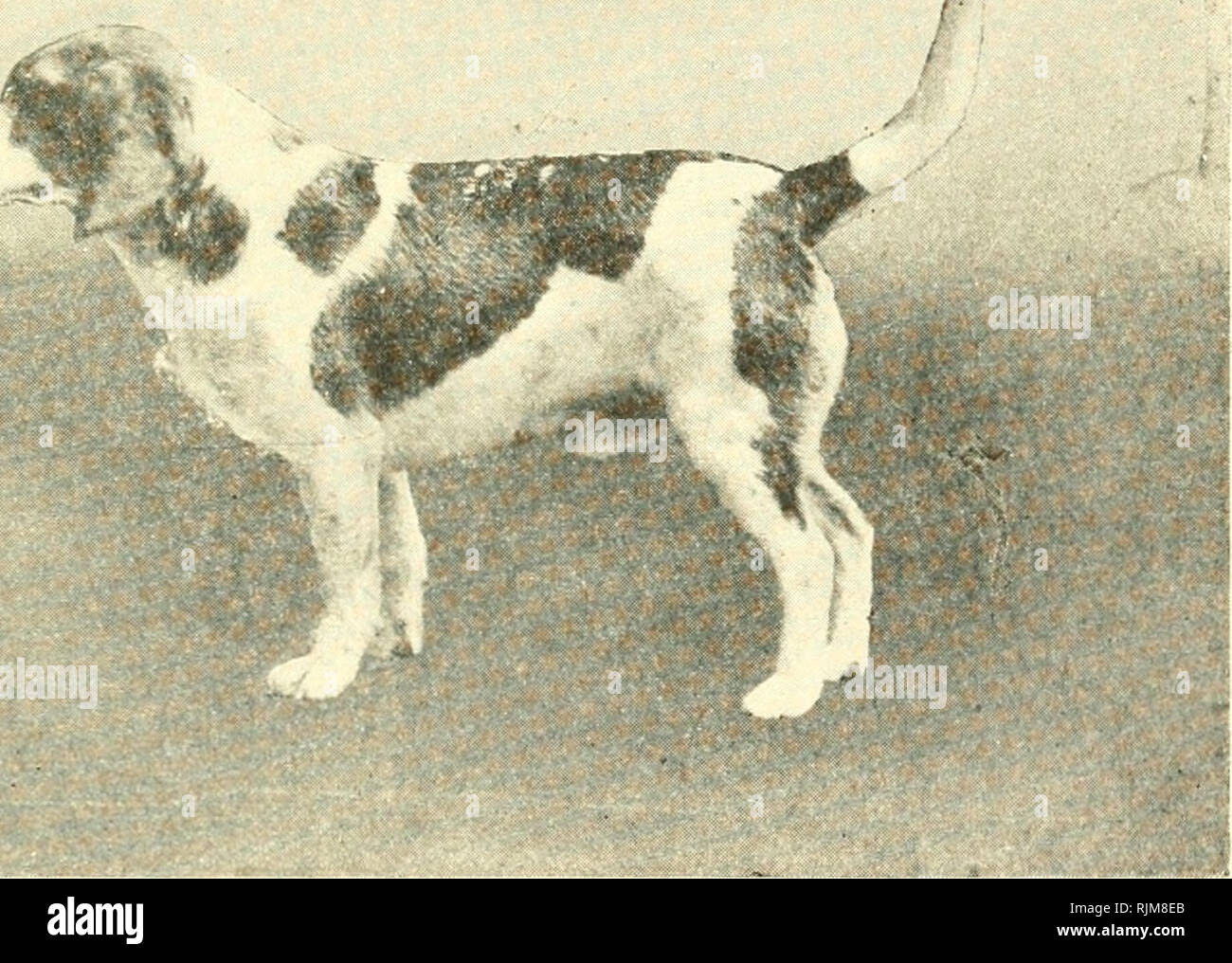 George reed ii hi-res stock photography and images - Alamy