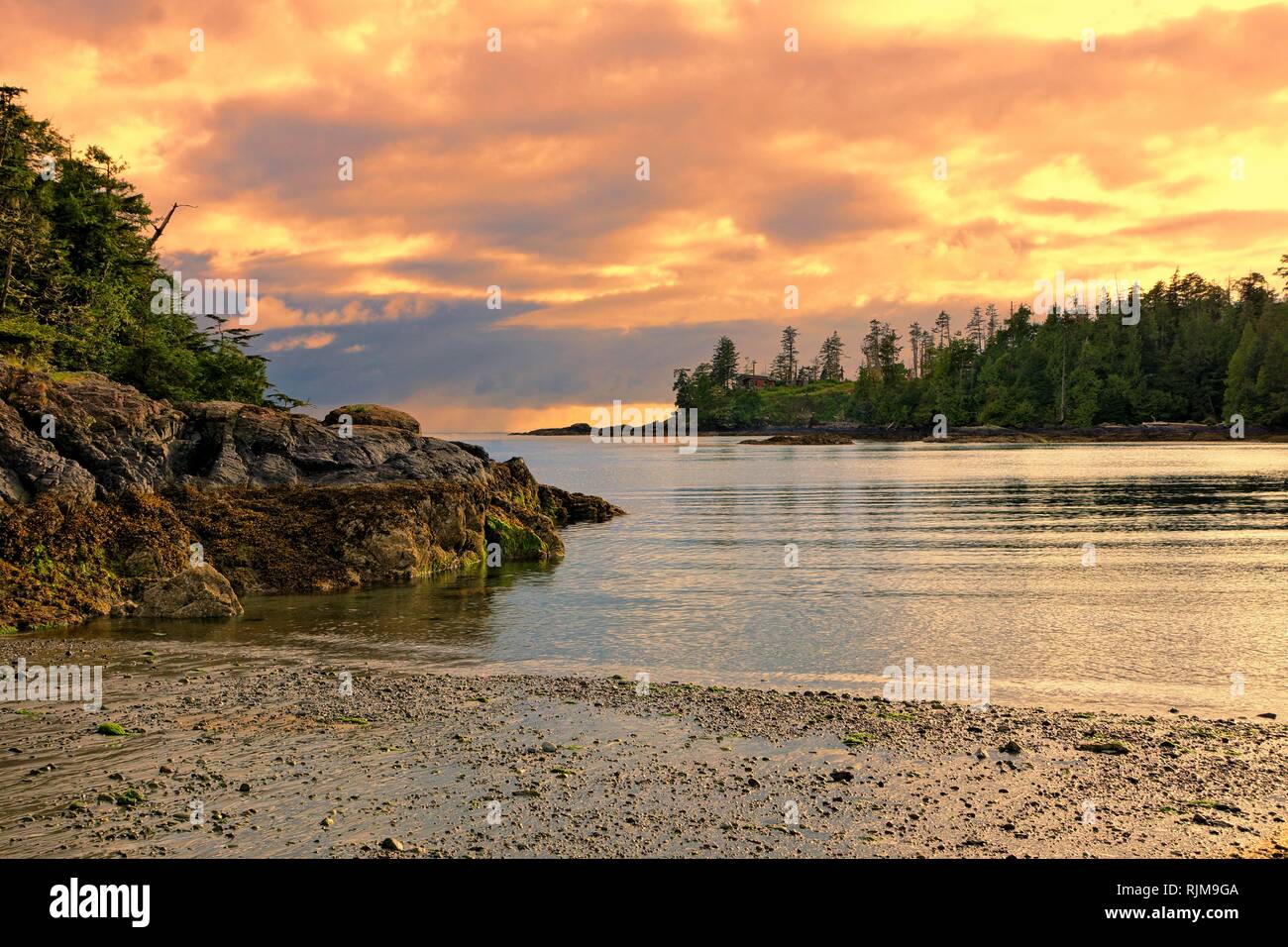 Pacific rim park hi-res stock photography and images - Alamy