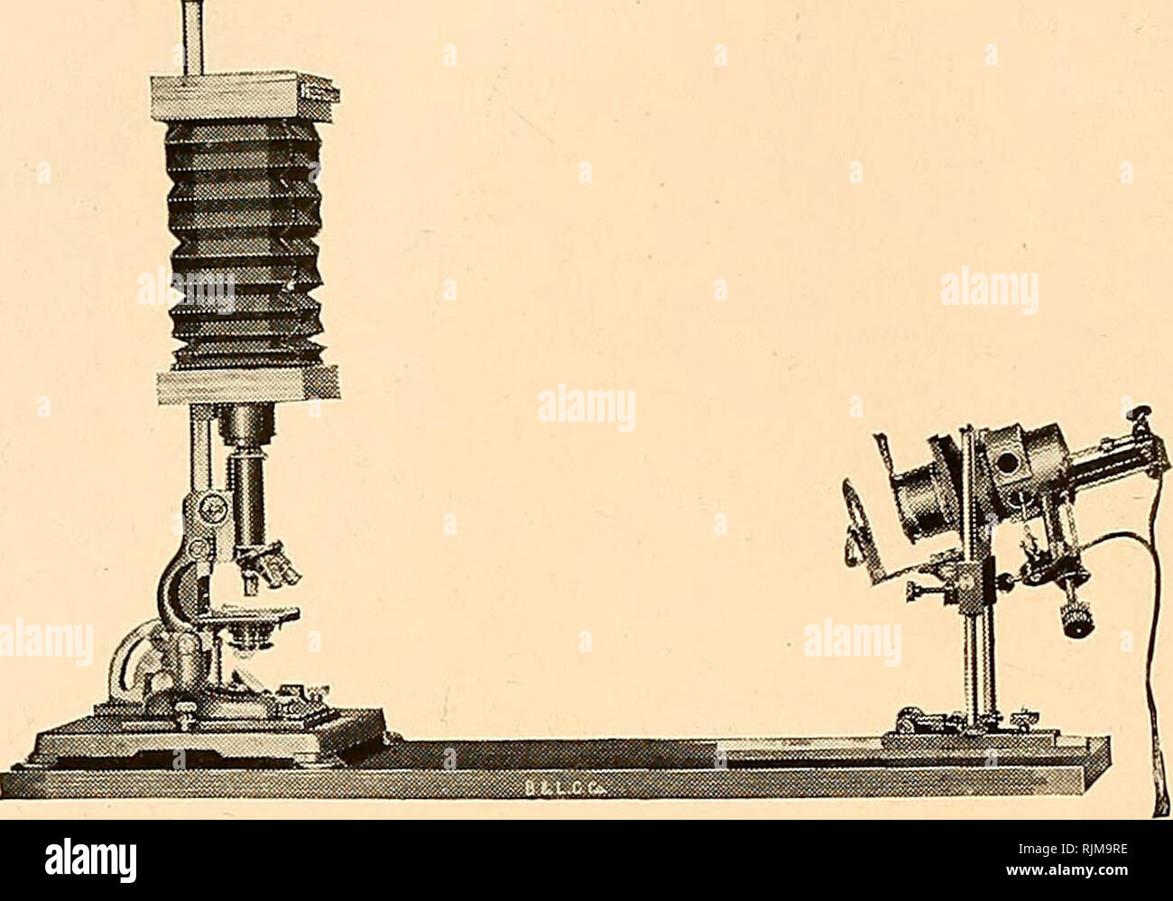 Photomicrographic section hi-res stock photography and images - Alamy