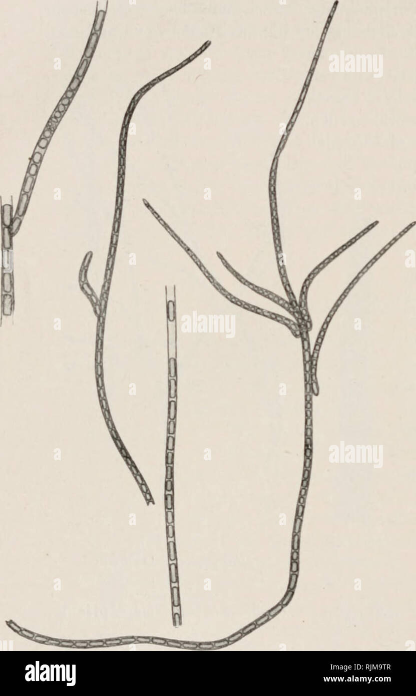 Gel behandeln hi-res stock photography and images - Alamy