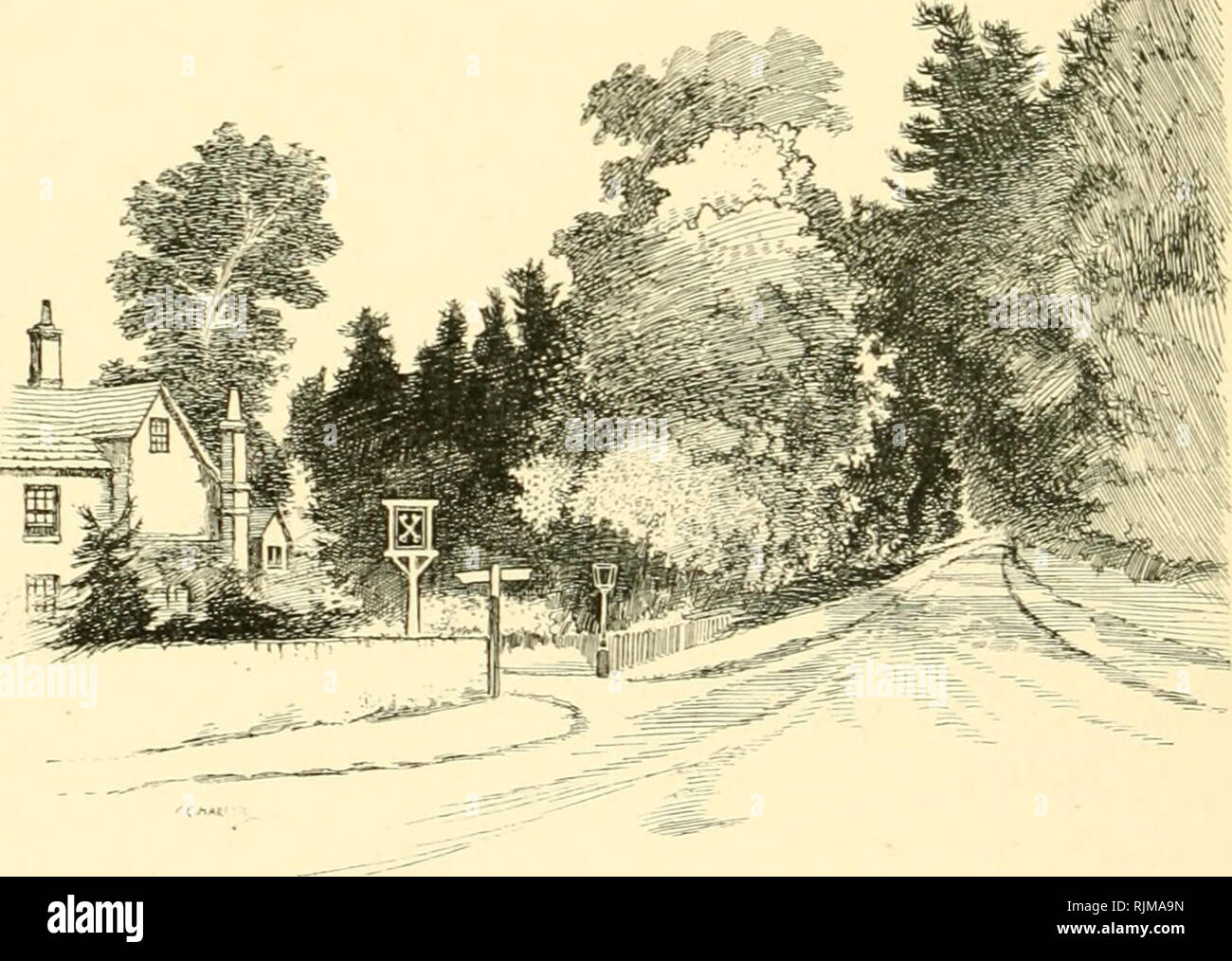 . The Bath road : history, fashion, & frivolity on an old highway ...