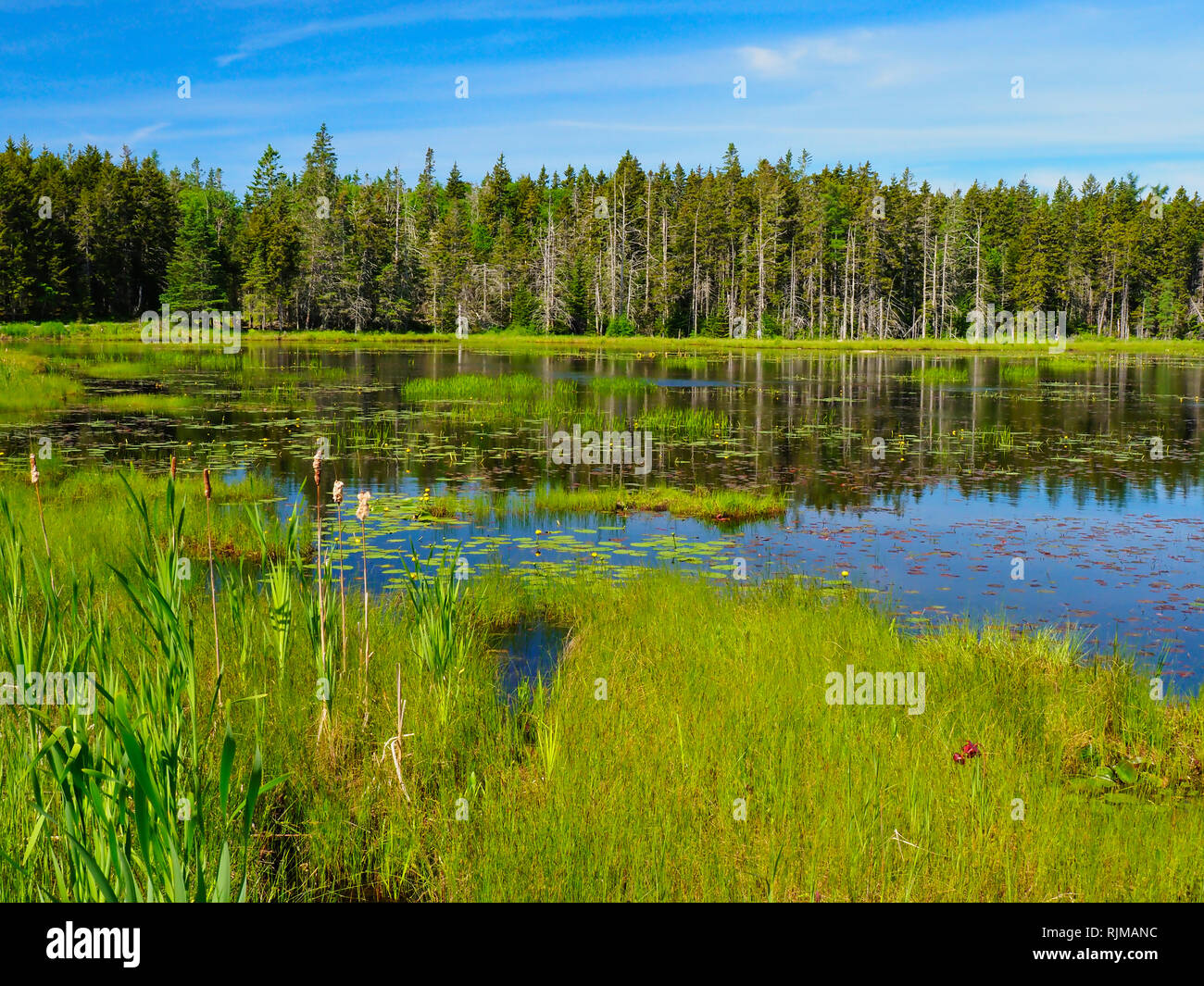 Ames Pond, Stonington, Maine, USA Stock Photo - Alamy