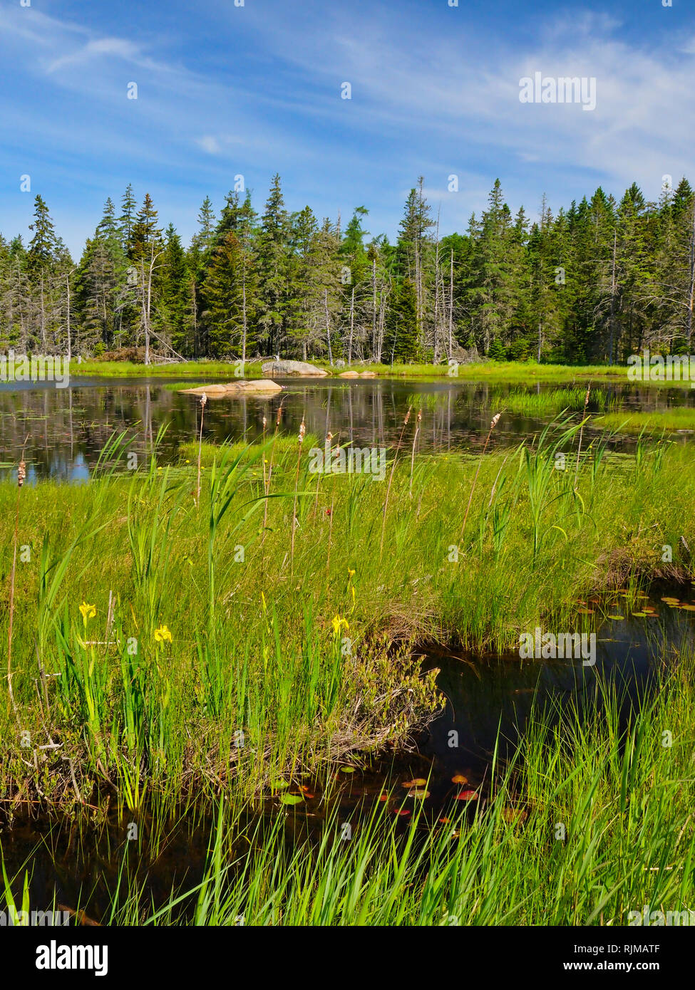Ames pond hi-res stock photography and images - Alamy