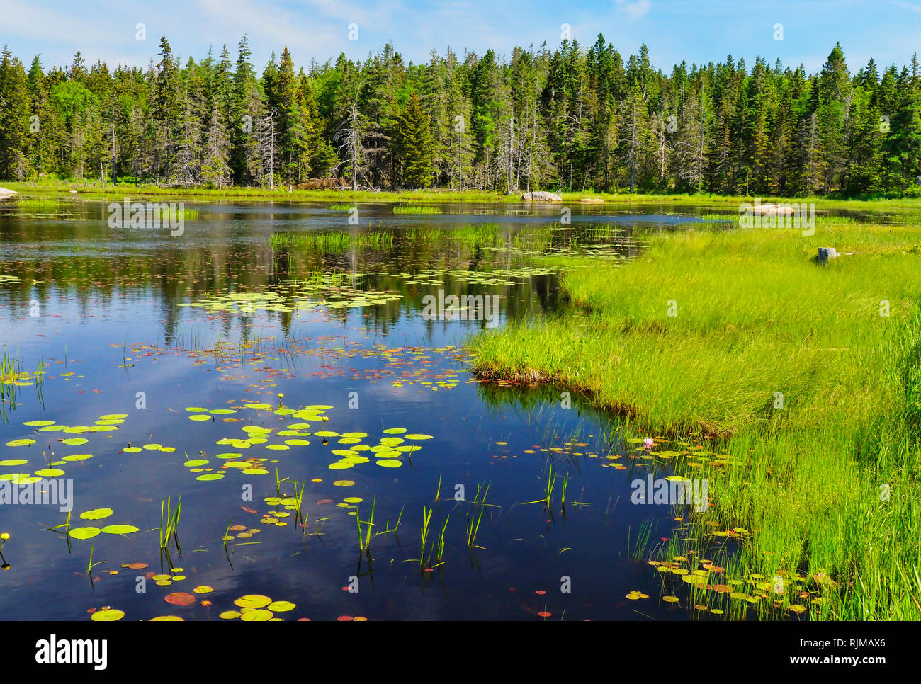 Ames Pond, Stonington, Maine, USA Stock Photo - Alamy