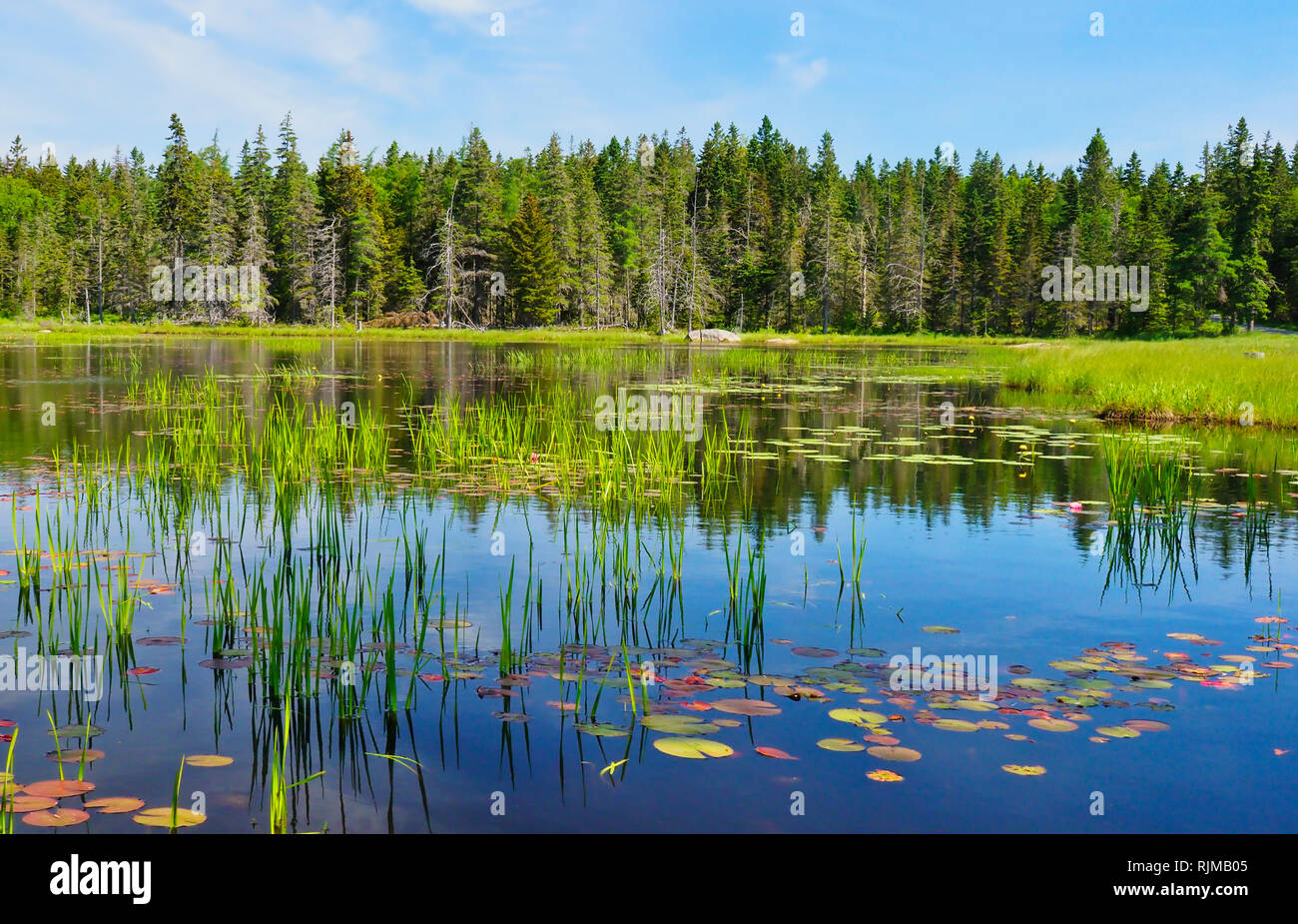 Ames pond hi-res stock photography and images - Alamy