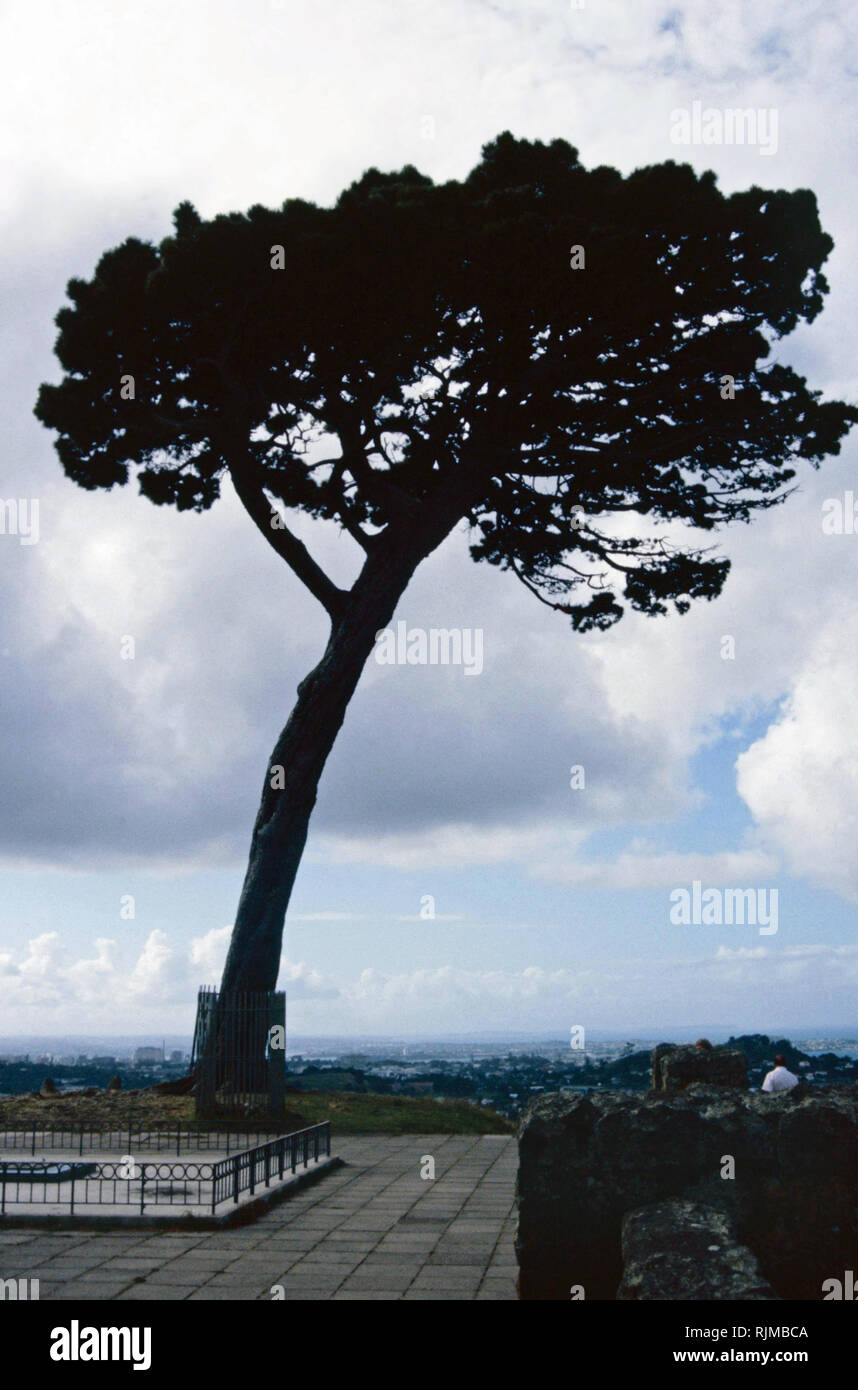 One tree hill new zealand hi-res stock photography and images - Alamy
