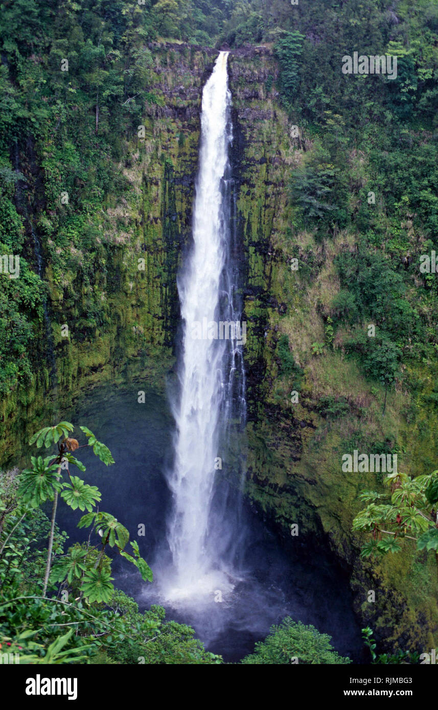 Hawaii akaka hi-res stock photography and images - Alamy