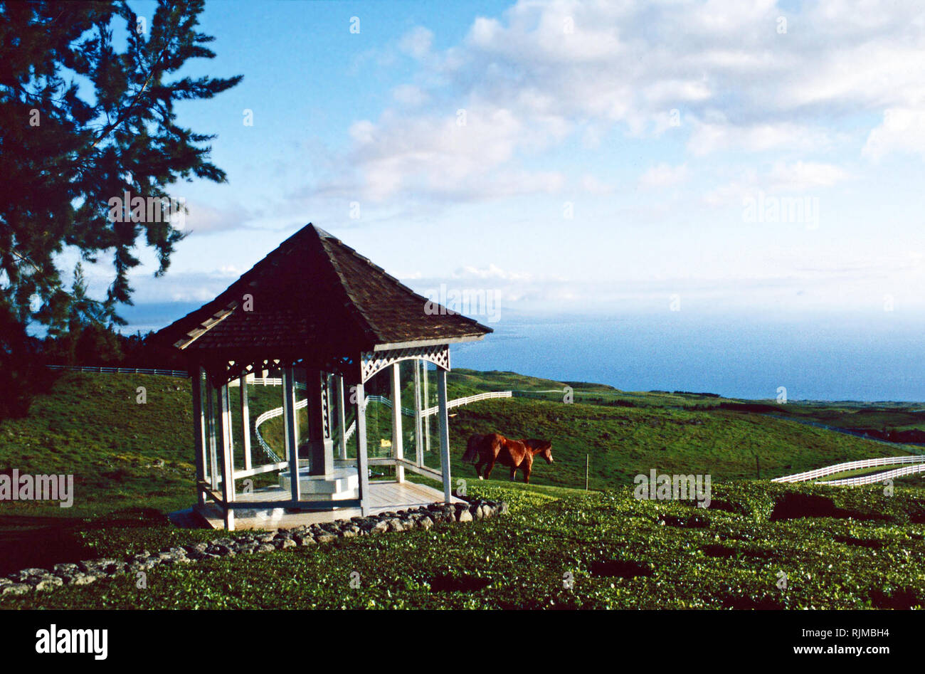Kohala ranch hi-res stock photography and images - Alamy