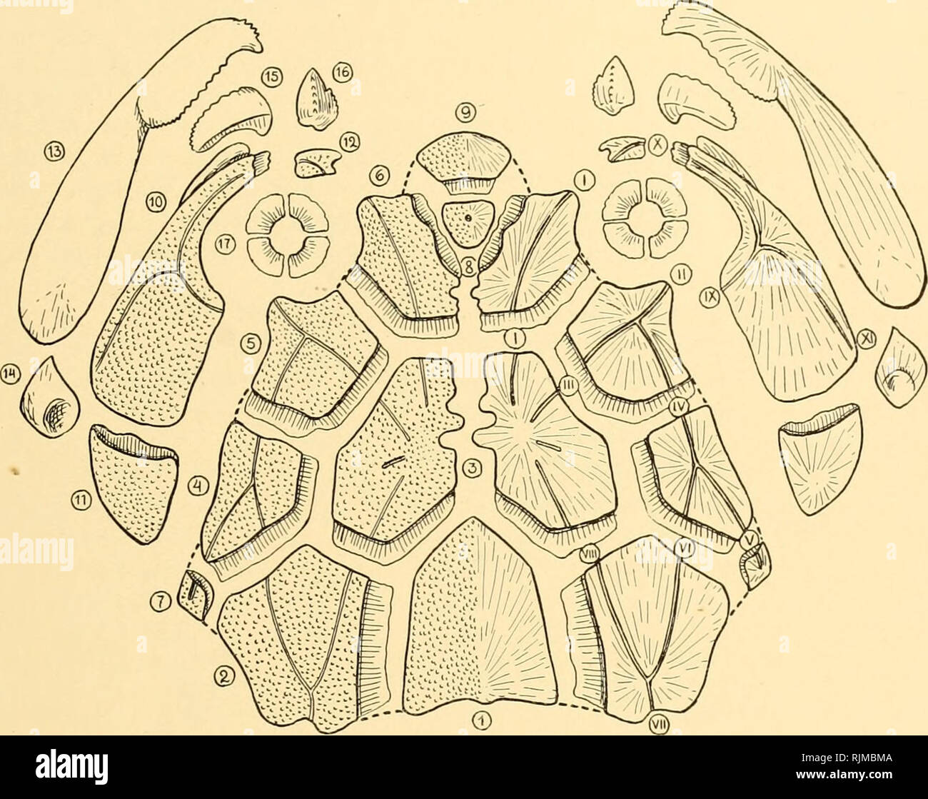 Orbital plates hi-res stock photography and images - Alamy