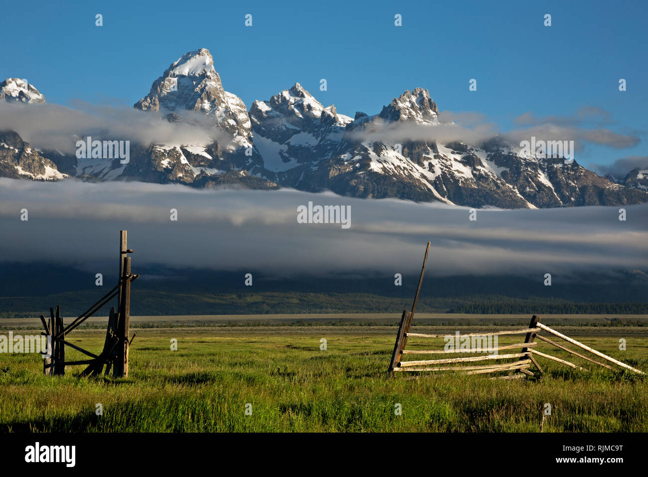 Antelope fence hi-res stock photography and images - Alamy