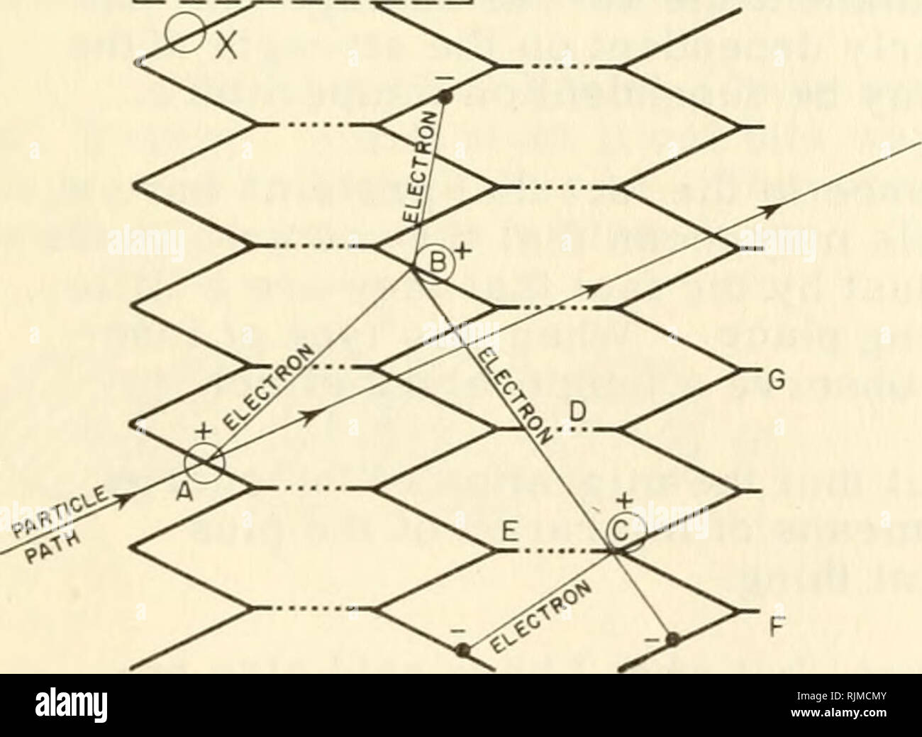 Monolayer hi-res stock photography and images - Alamy