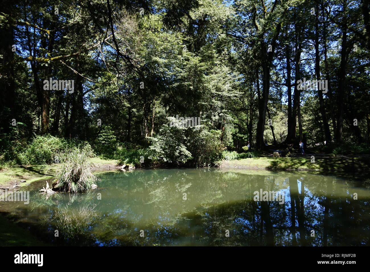 Alishan national scenic area hi-res stock photography and images - Alamy