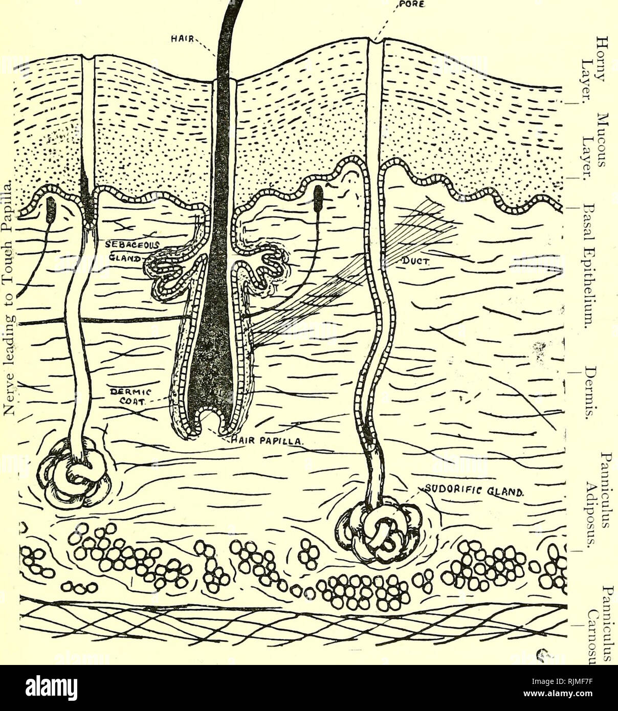 Protrude downwards hi-res stock photography and images - Alamy