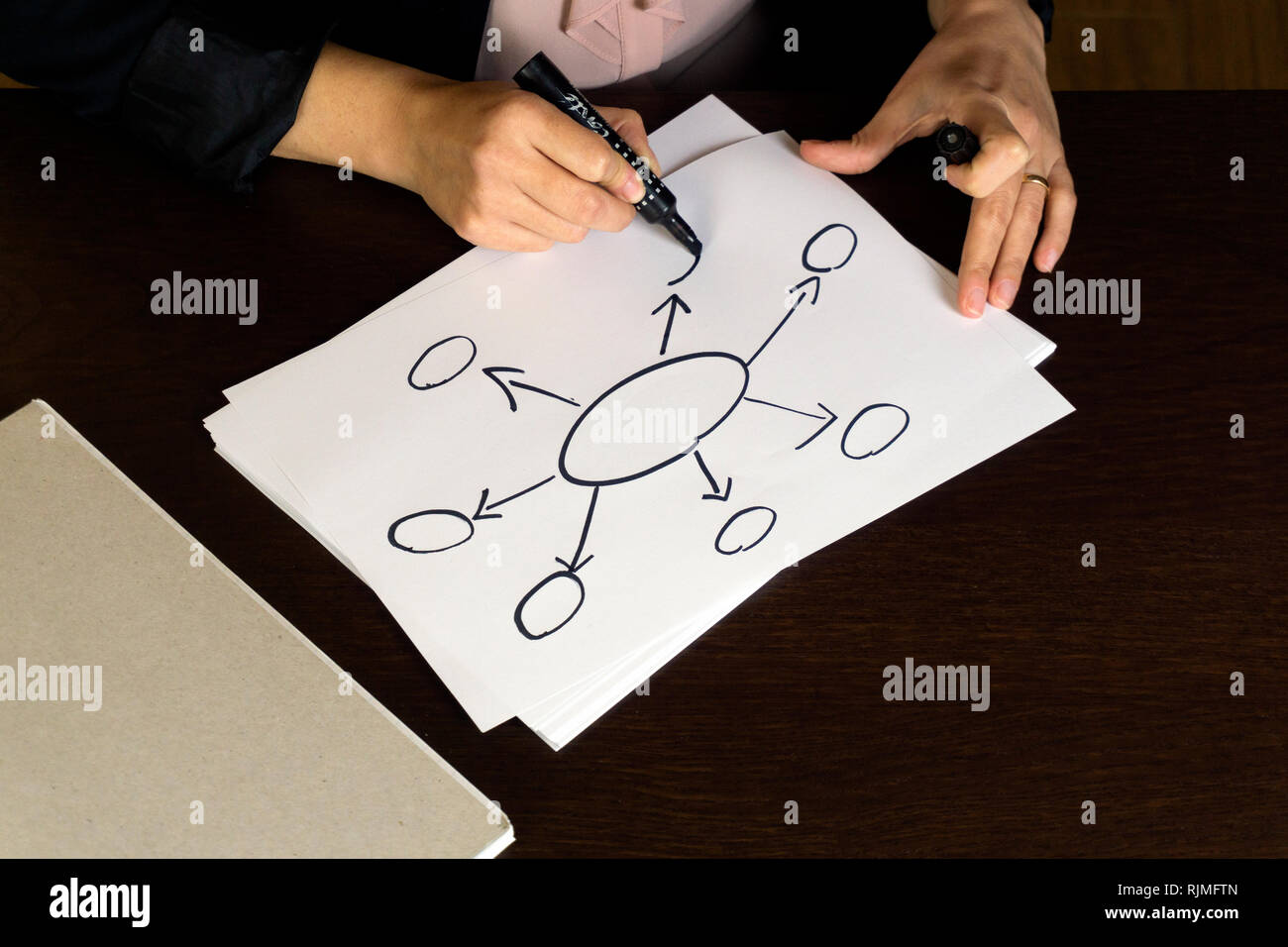 Business Woman Writing Action Plan Diagram Concept Stock Photo - Alamy