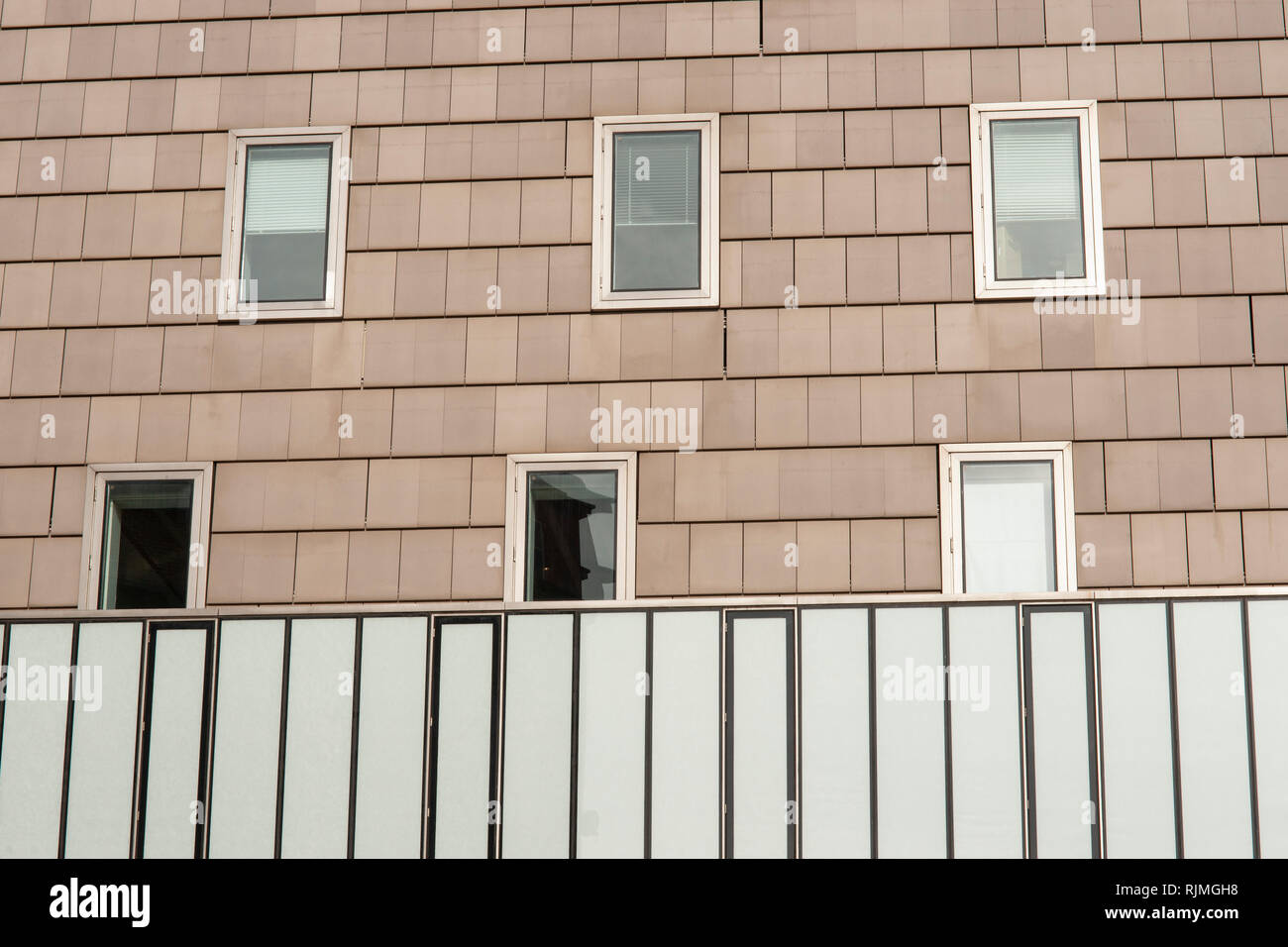 New Art Gallery, home of German Ryan collection gifted to people of ...