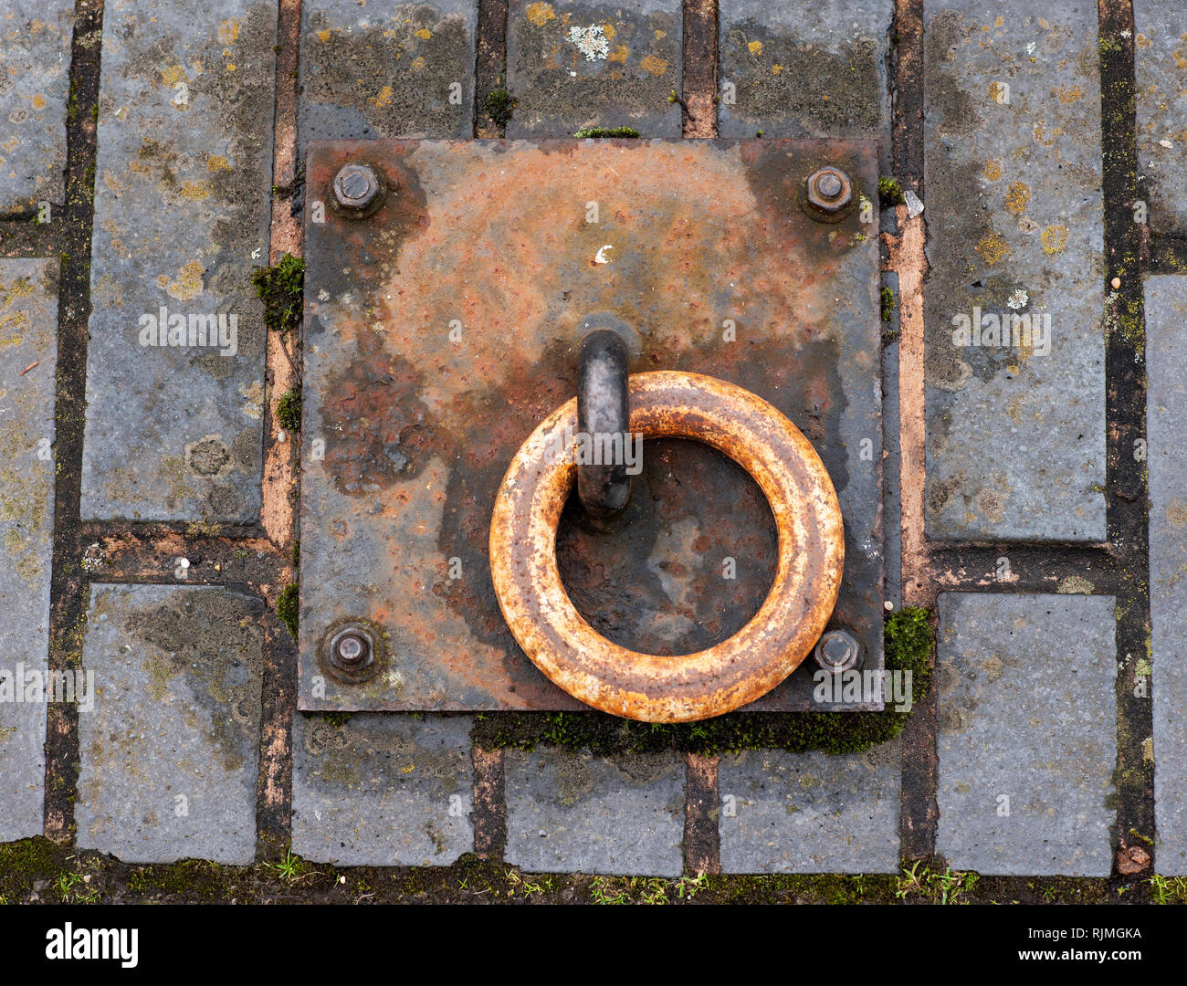 New Art Gallery, home of German Ryan collection gifted to people of ...