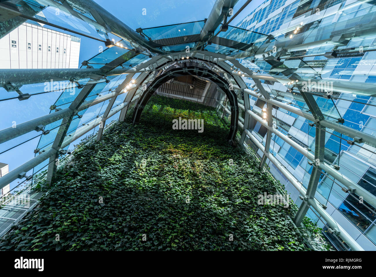 Shibuya Stream, Shibuya-Ku, Tokyo, Japan Stock Photo - Alamy