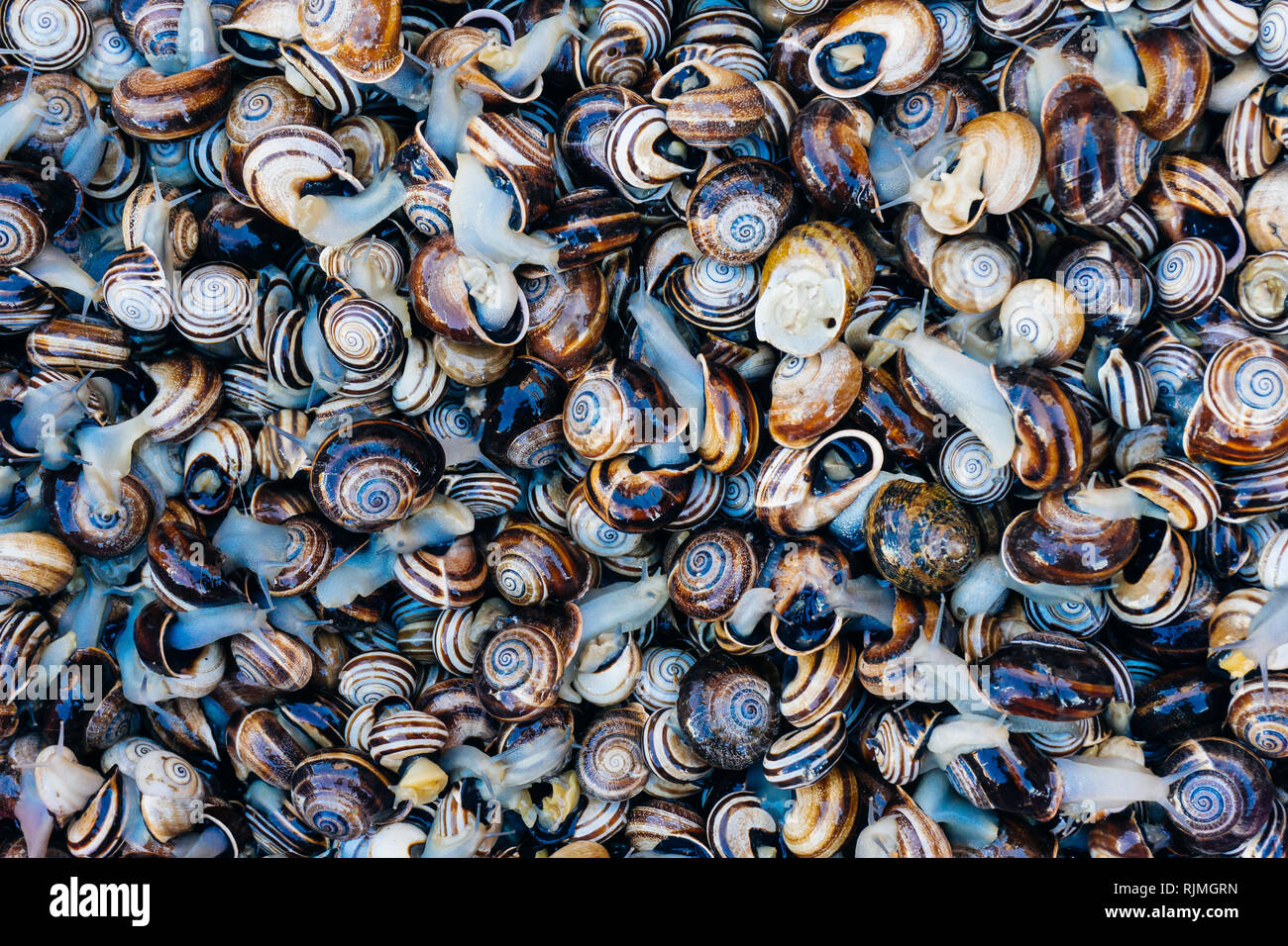 Grape snails food background on the market in Marrakesh Medina (Morocco ...