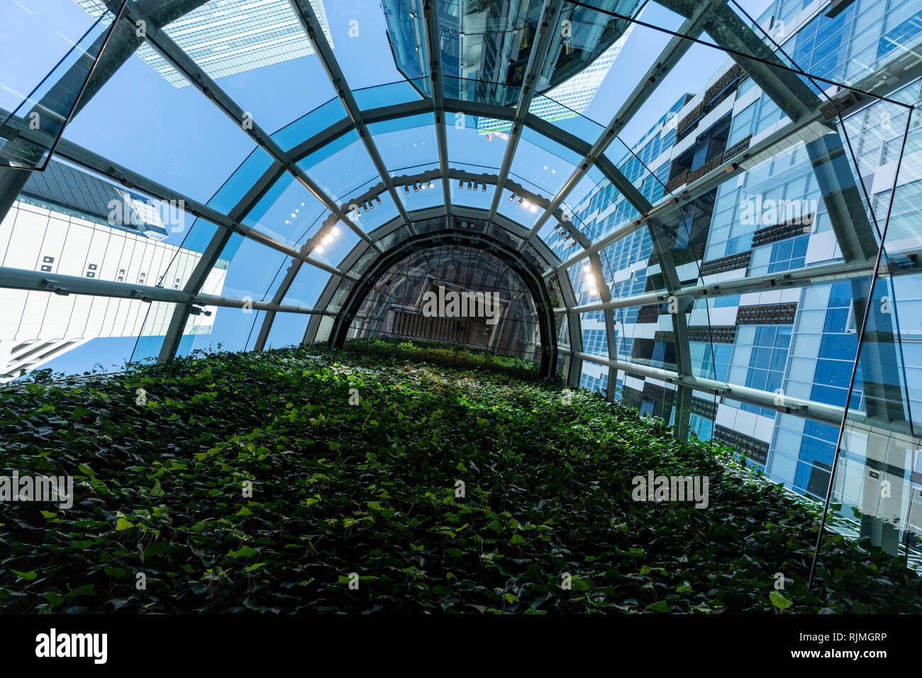 Shibuya stream building hi-res stock photography and images - Alamy