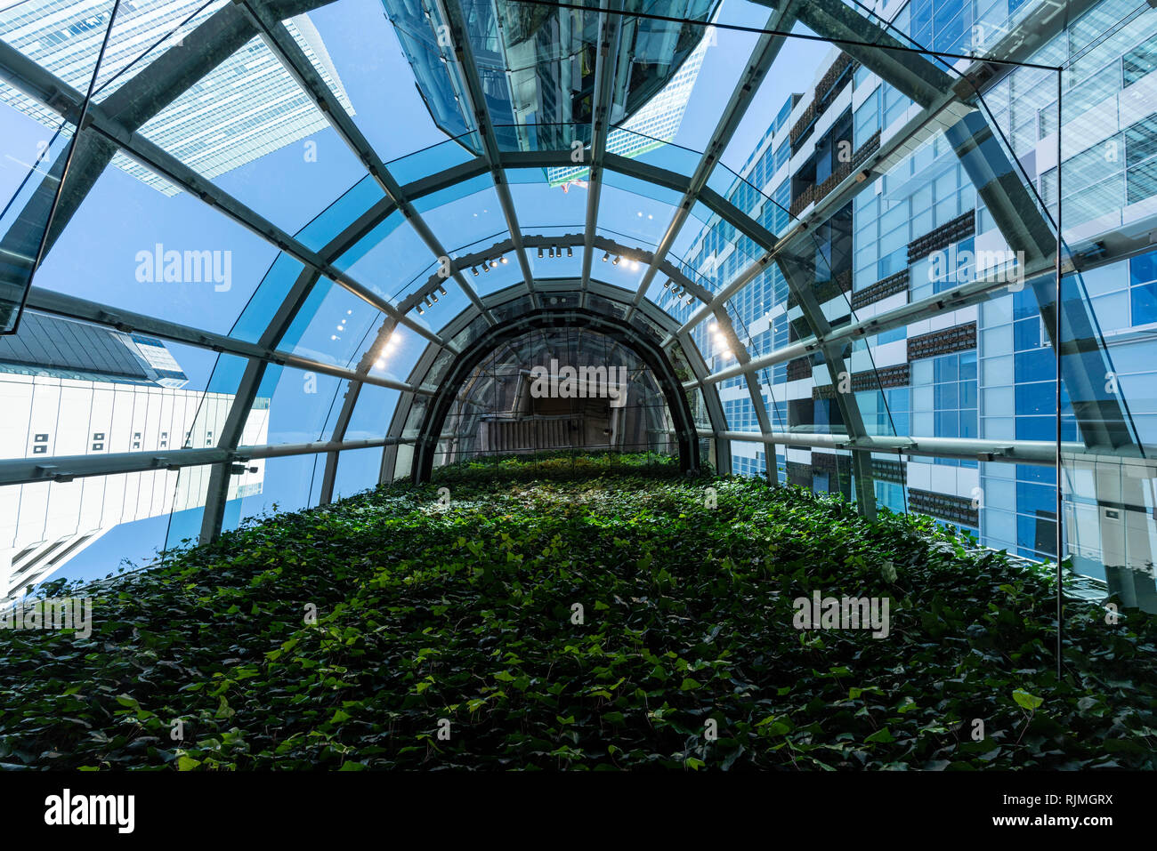 Shibuya stream building hi-res stock photography and images - Alamy